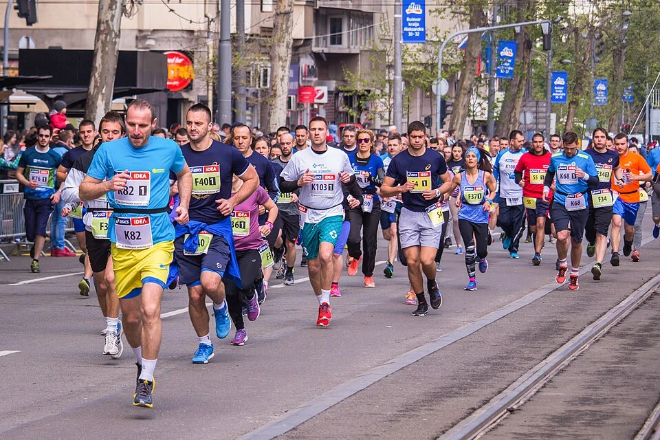Beogradski Maraton 2026: Trasa, Rezultati i Praktični Vodič